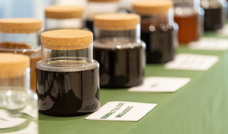 Our products - Liquid Feed France